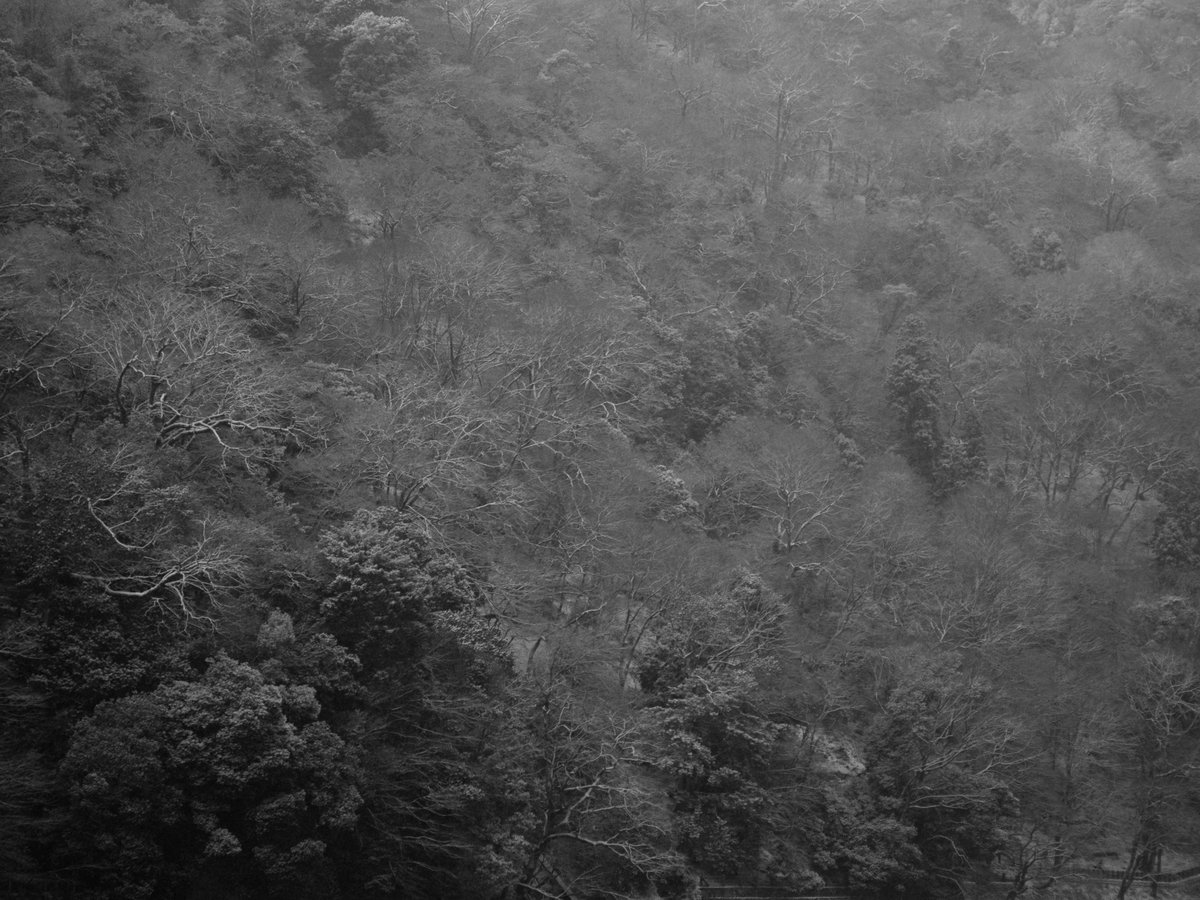 見つけた、GFXの最適解。 Vol.1｜FUJIFILM GFX×MINOLTA ROKKOR。｜Oto Hanada