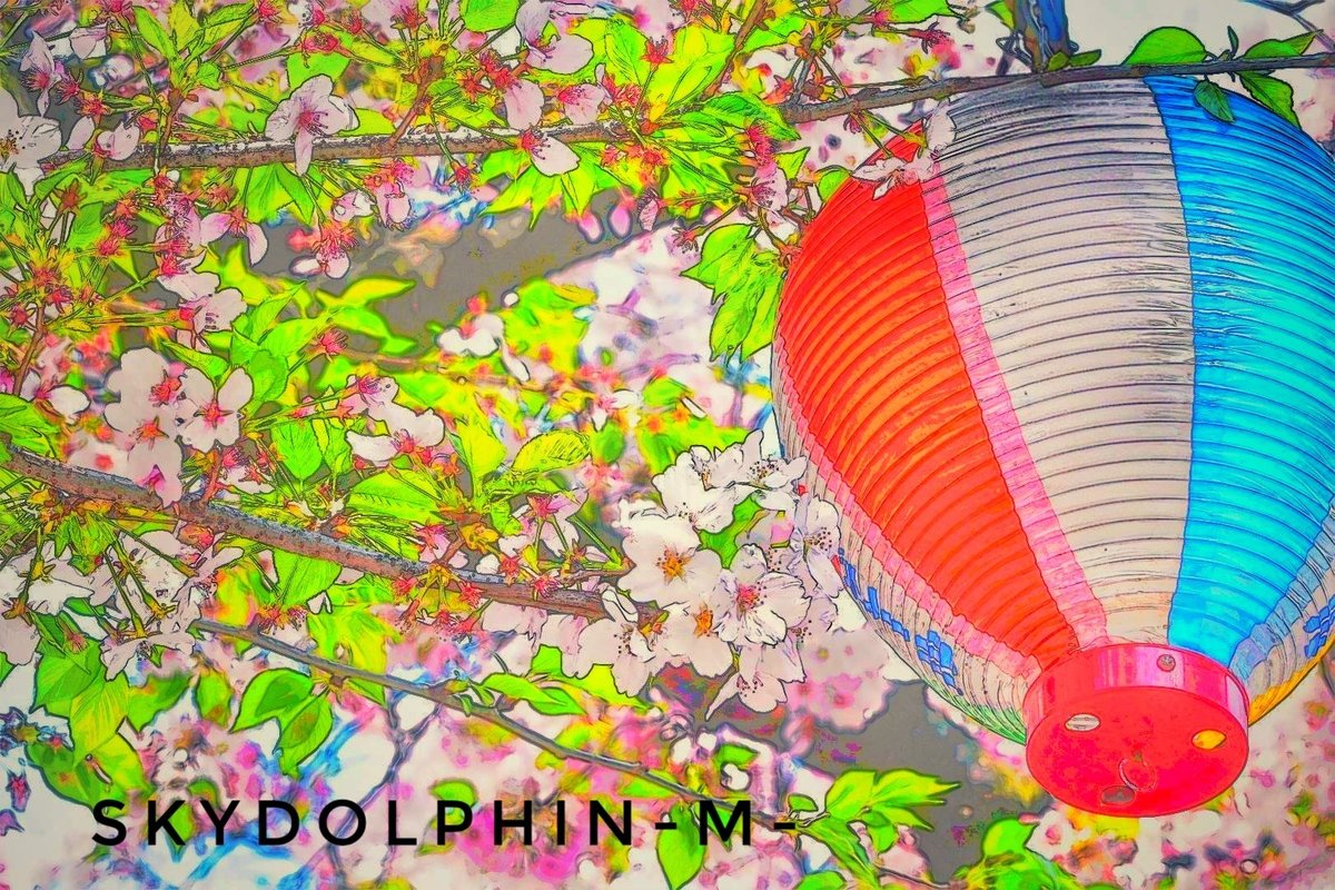 やっと始動が出来ます!!｜Skydolphin-M-