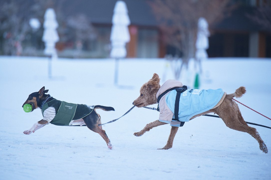 好きなものが見つからない｜005 akkiy