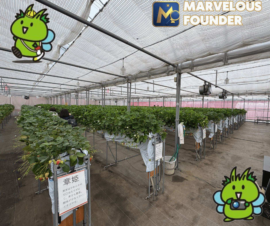 【取材記事】「いちごとともに育む夢」｜しんいちろー｜Marvelous Founder