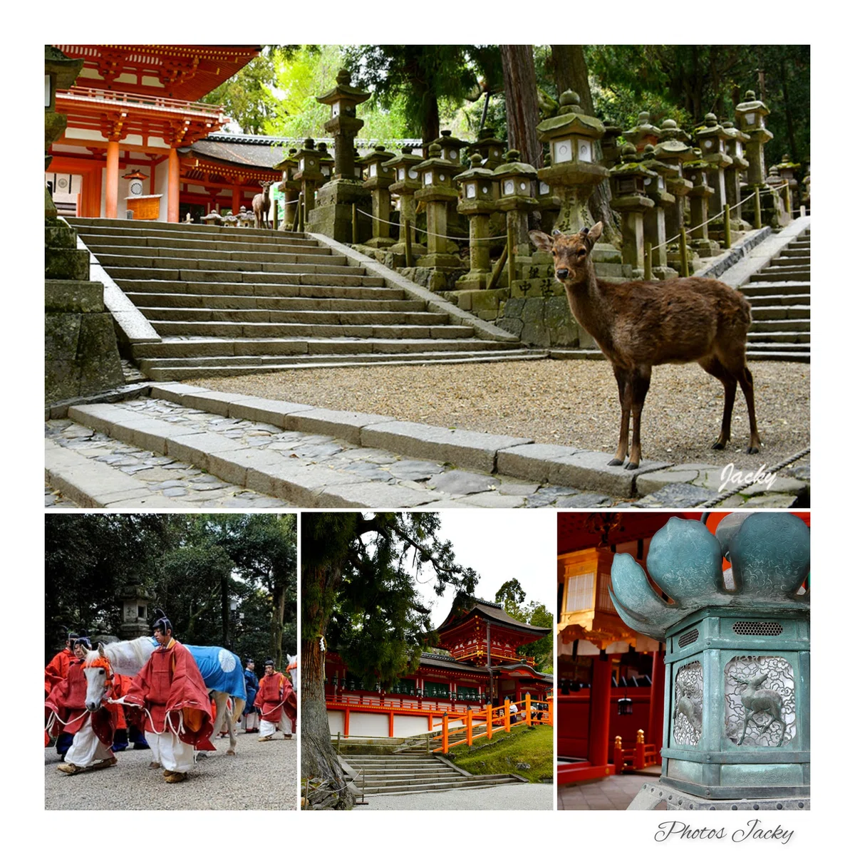 Kusaga Matsuri｜Discovery Japan and more...