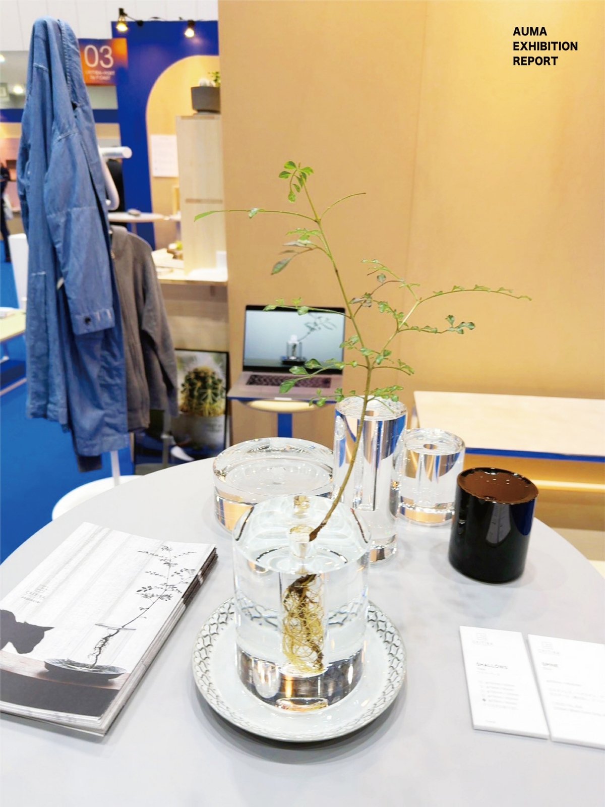 【第99回 東京インターナショナル・ギフト・ショー春2025 展示会ブース訪問リポート part.2】｜AUMA