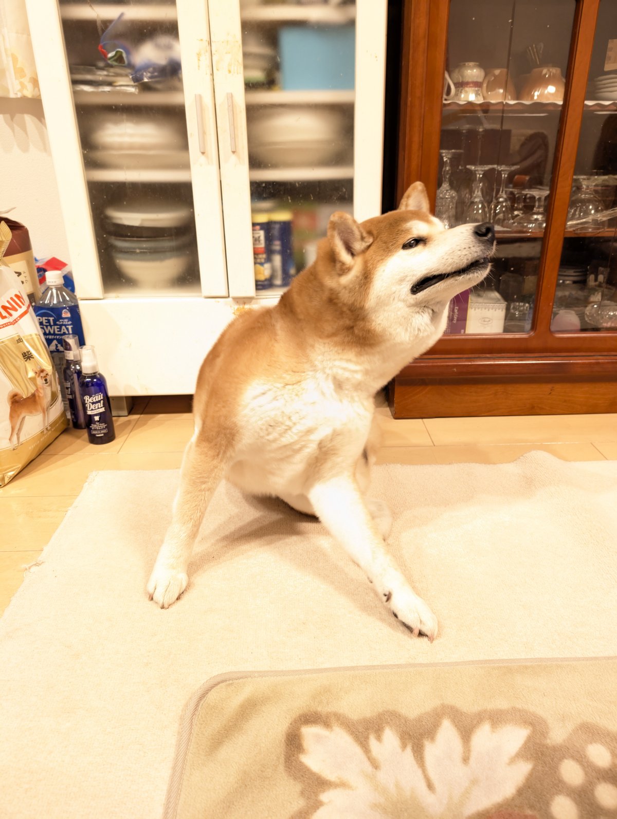 家に到着！｜Akihiko Oosugi