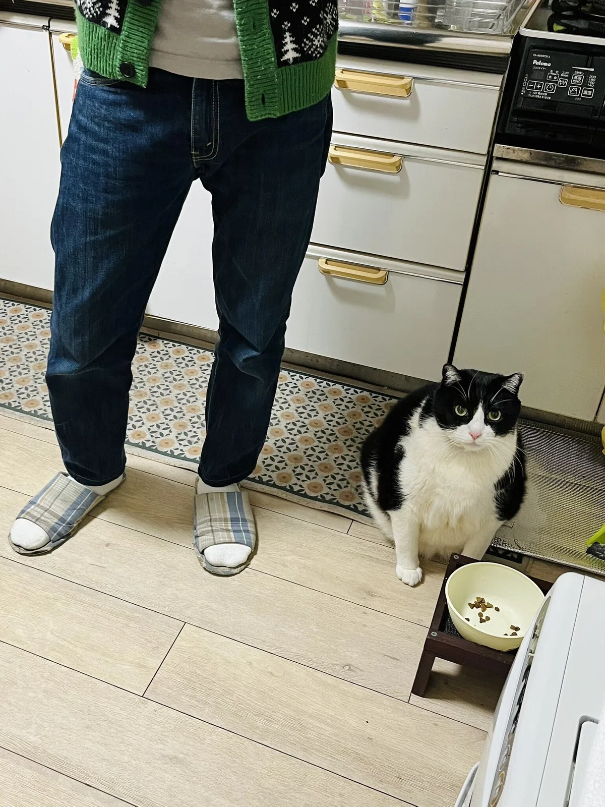 "She thinks I'm a flavor-changing hag..." A cat who leaves a little ...