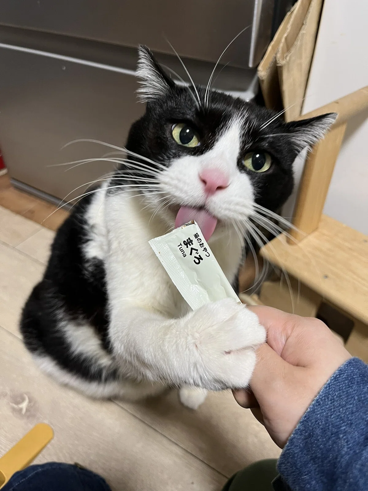 "She thinks I'm a flavor-changing hag..." A cat who leaves a little ...