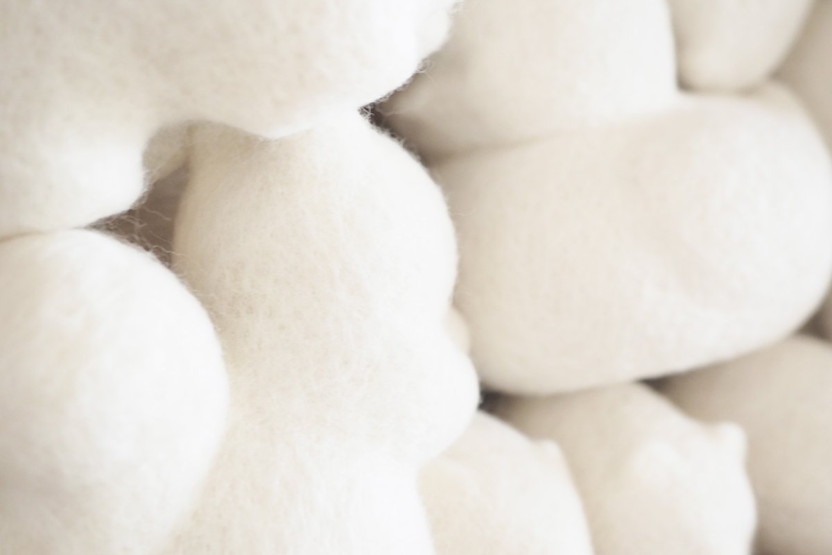 「why」｜SLEEPY SHEEP