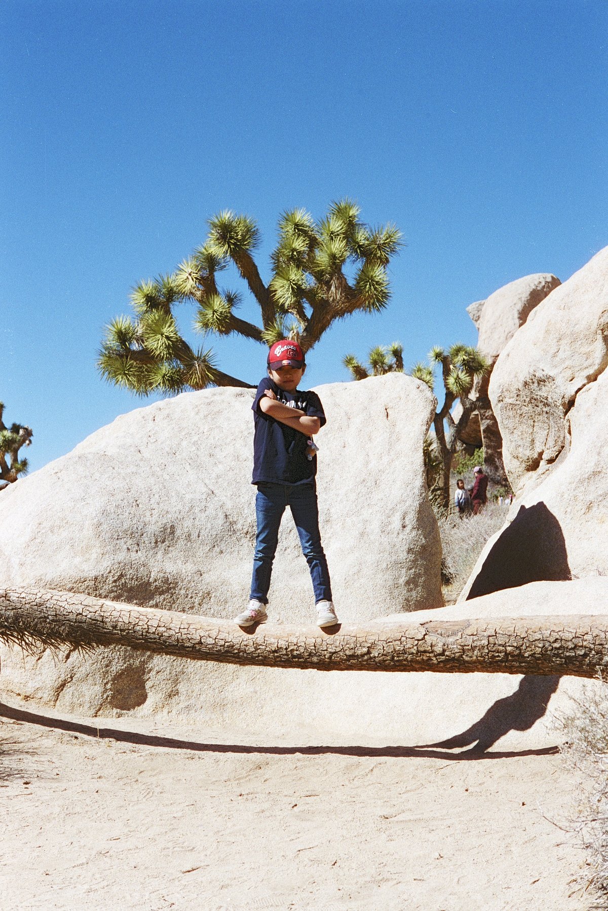 SilverFast Ai Studio 9で CineStill 400DをJEPG現像｜MOJA MOJA