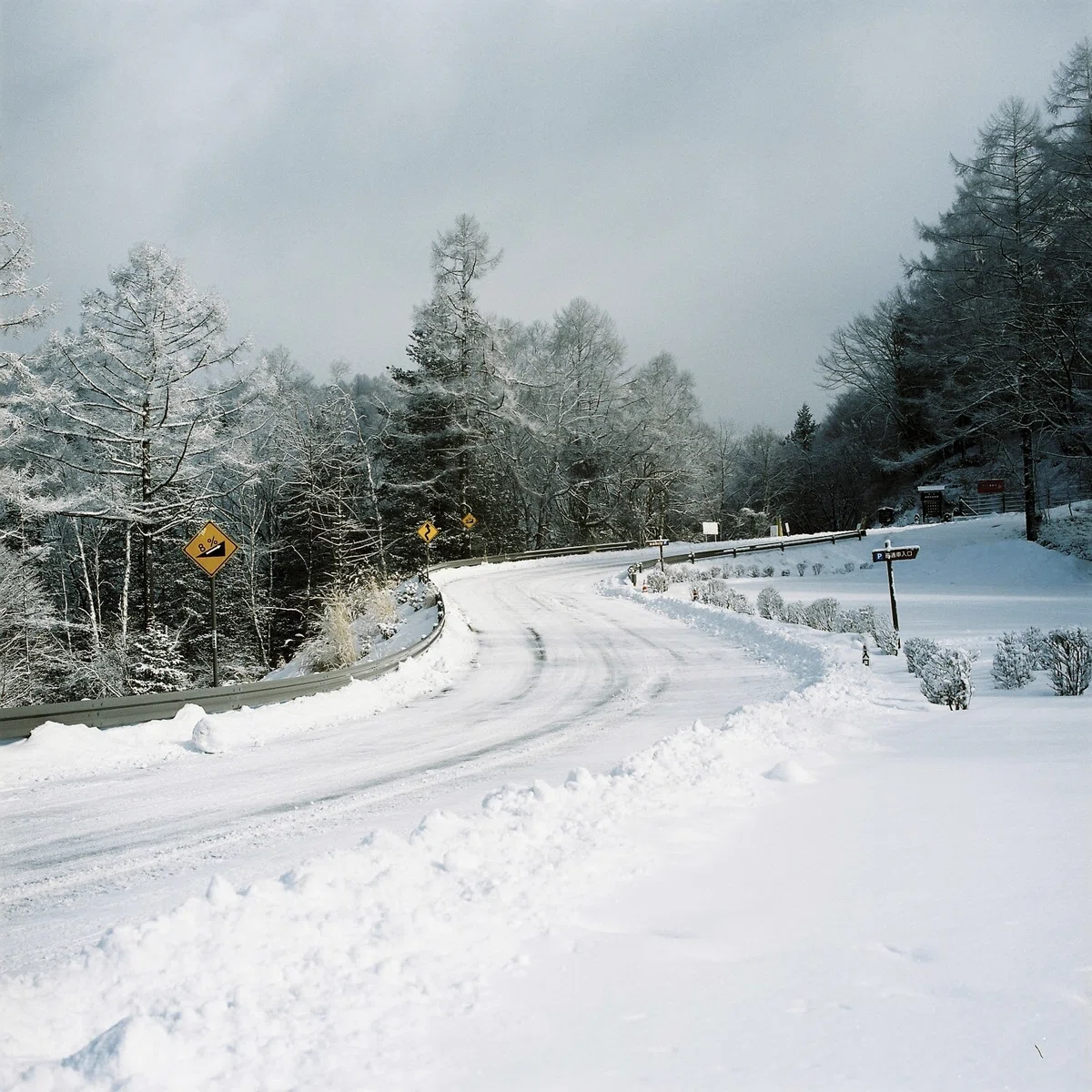 HASSELBLAD 500C/Mといく冬の長野旅 1｜Takuma Shogaki