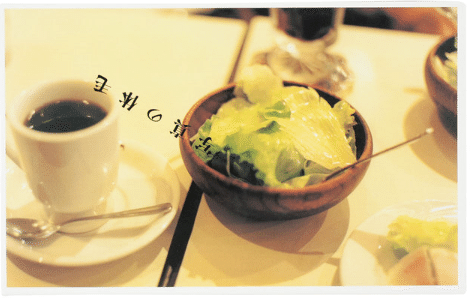 Session Press Photo Book Club: Vol 1 March 2025: Masafumi Sanai’s Body Hair of Photography｜Miwa ...