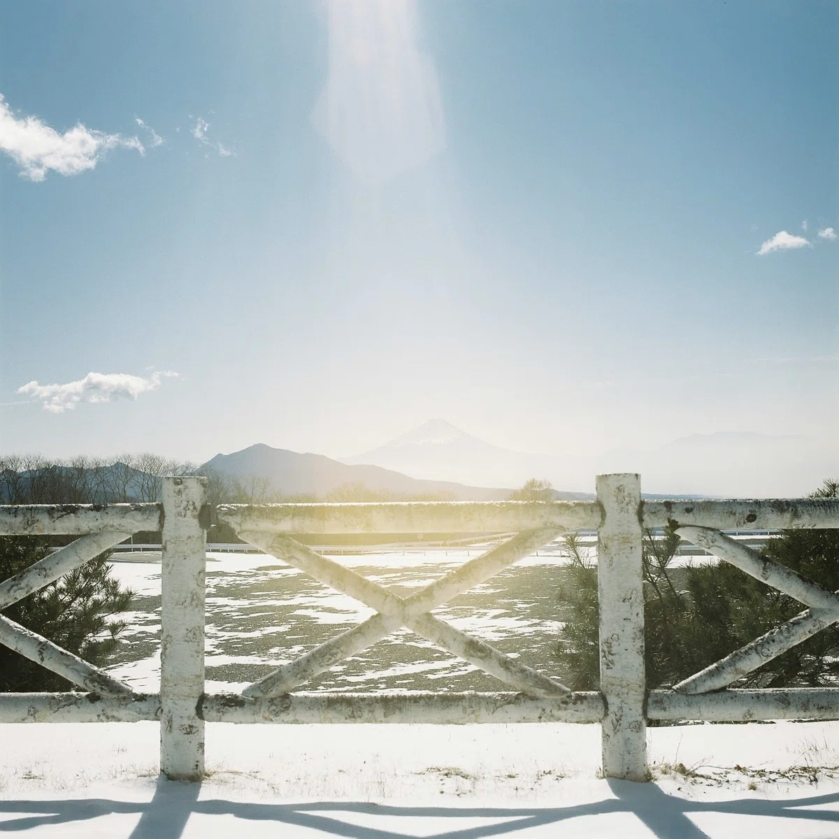 HASSELBLAD 500C/Mといく冬の長野旅 2 ｜Takuma Shogaki