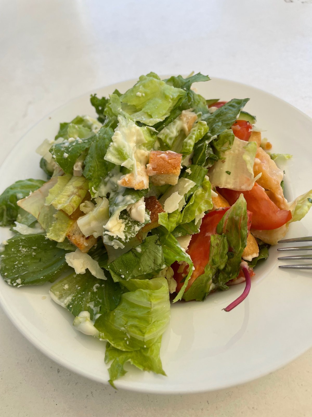 日常に戻った｜ふーちゃん