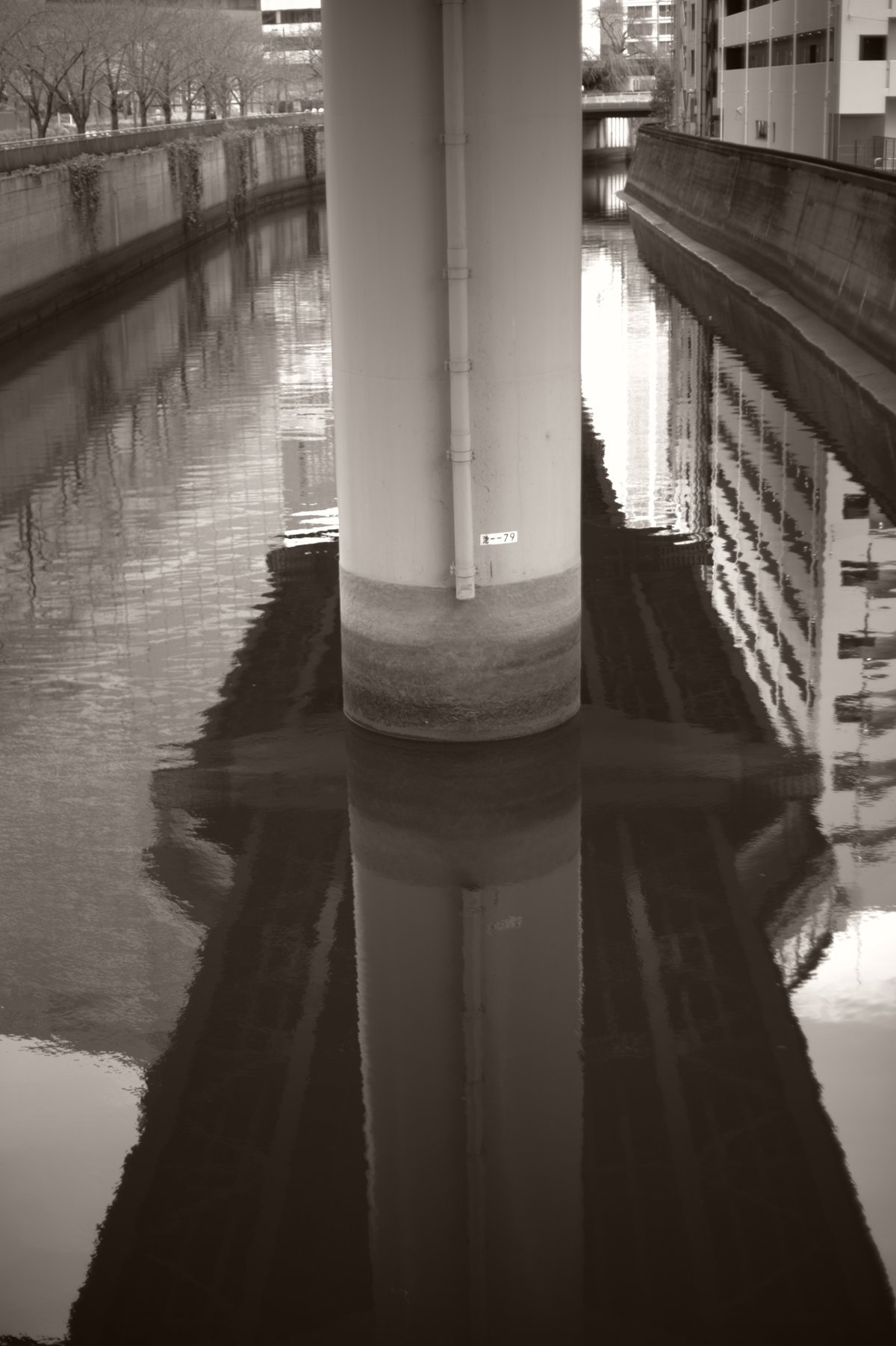 Permanent Exhibition『Fragmented Vision』｜墨田ペトリ堂