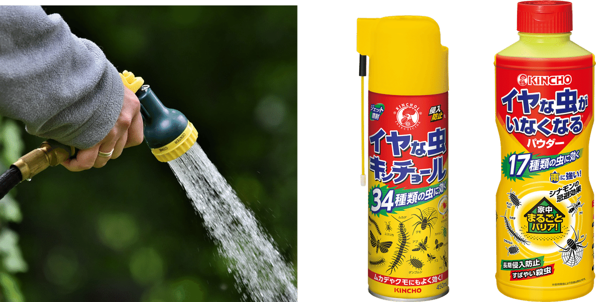 日差しの中を走り抜けてく真っ赤なタカラダニ～彼女らは5月に突然現れて、嘘のように突然いなくなる｜KINCHO 大日本除虫菊株式会社