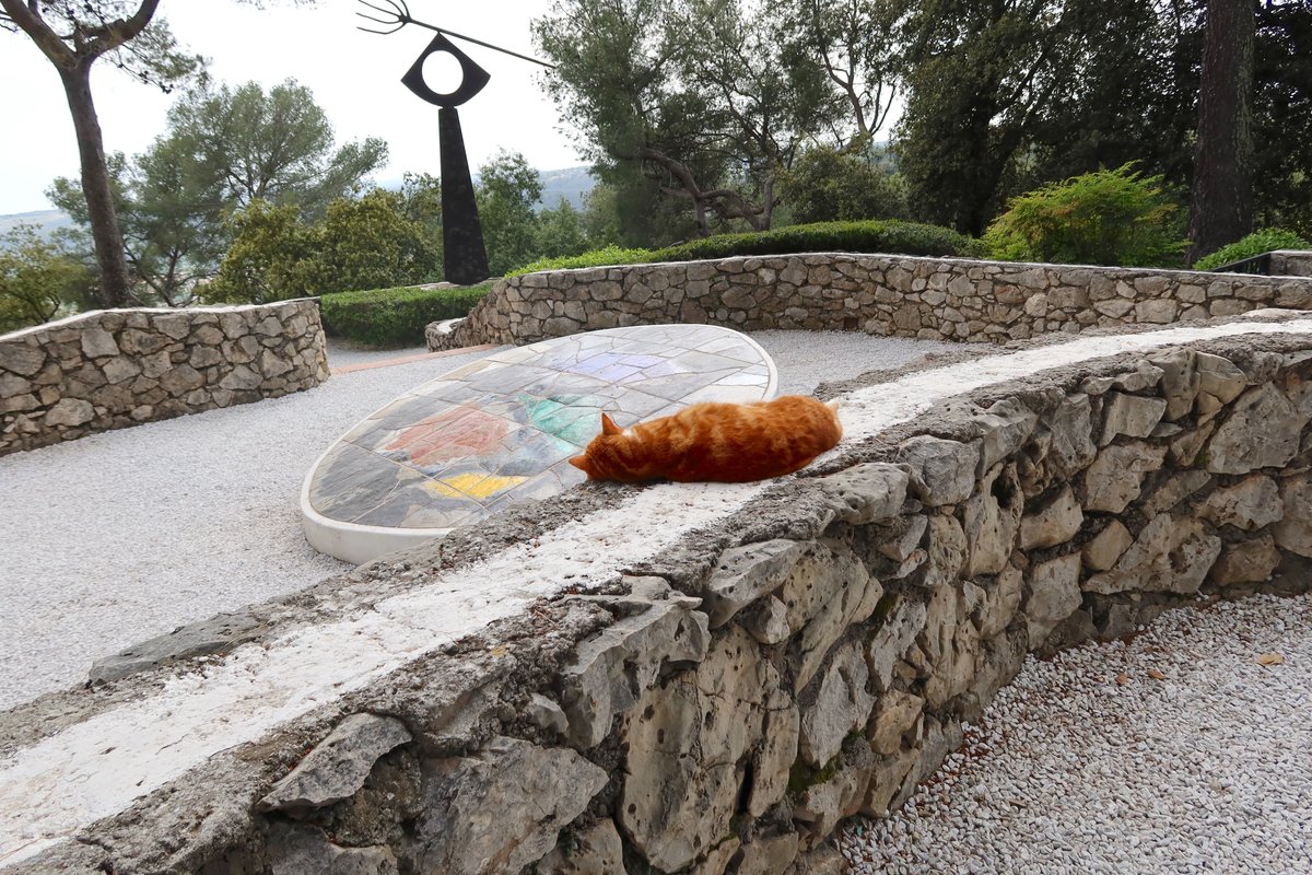 猫と美術館@フランス🇫🇷サンポールドヴァンス マーグ財団美術館｜K.MITANI