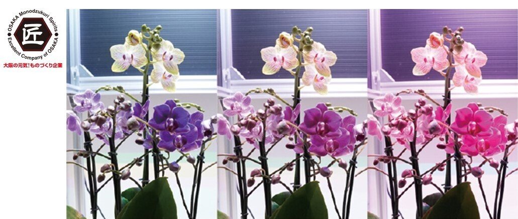 【出展企業紹介③】2025年大阪・関西万博の大阪ヘルスケアパビリオンにMOBIOから出展！｜MOBIO（ものづくりビジネスセンター大阪）公式note