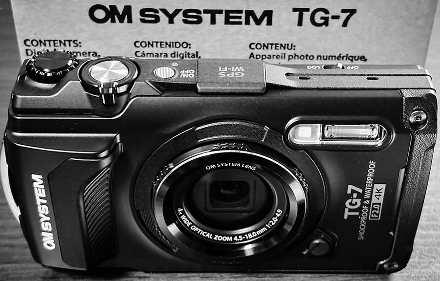 OM SYSTEM Tough TG-7購入→マクロで失敗😢|borichan | 旅する OM SYSTEM Tough TG-7購入→マクロで失敗😢|borichan | 旅する