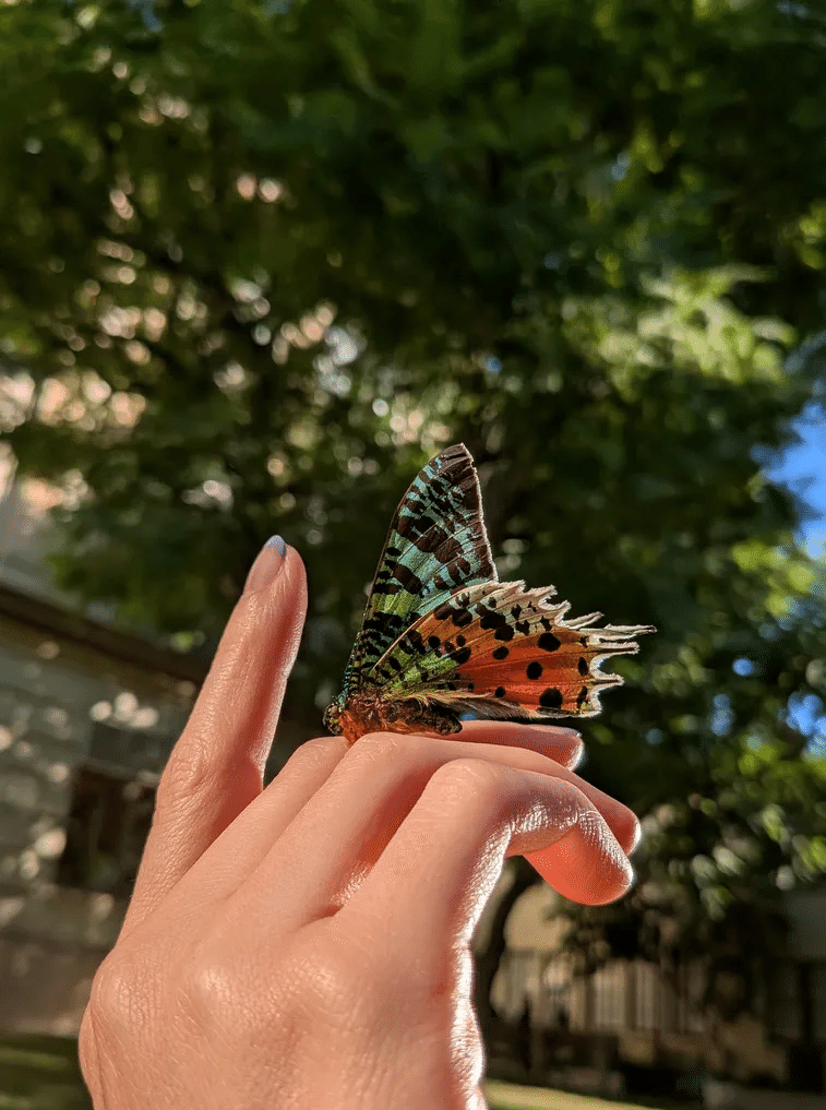 【最新情報まとめ】Google、Pixel 9aを発表!! │ 発売日とスペックをまとめていく｜EmuLog＠在宅ワーク&ガジェット好き&物欲解放の備忘録