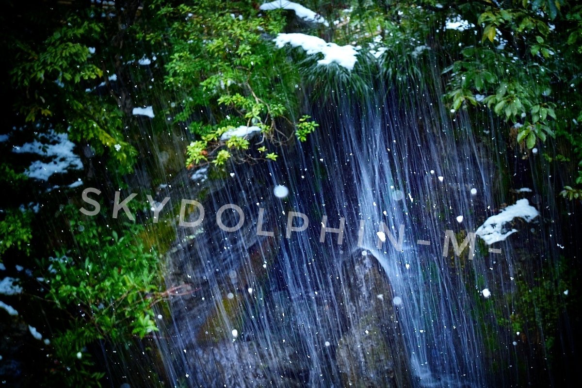 Winter☃sample -冬のサンプル-｜Skydolphin-M-