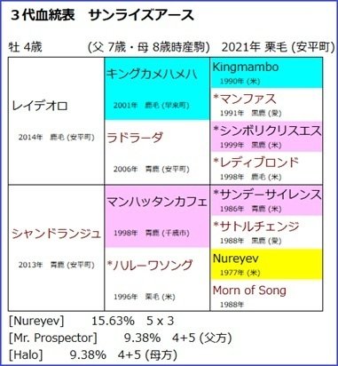 【2025 阪神大賞典（G2）】～予想篇｜Haya