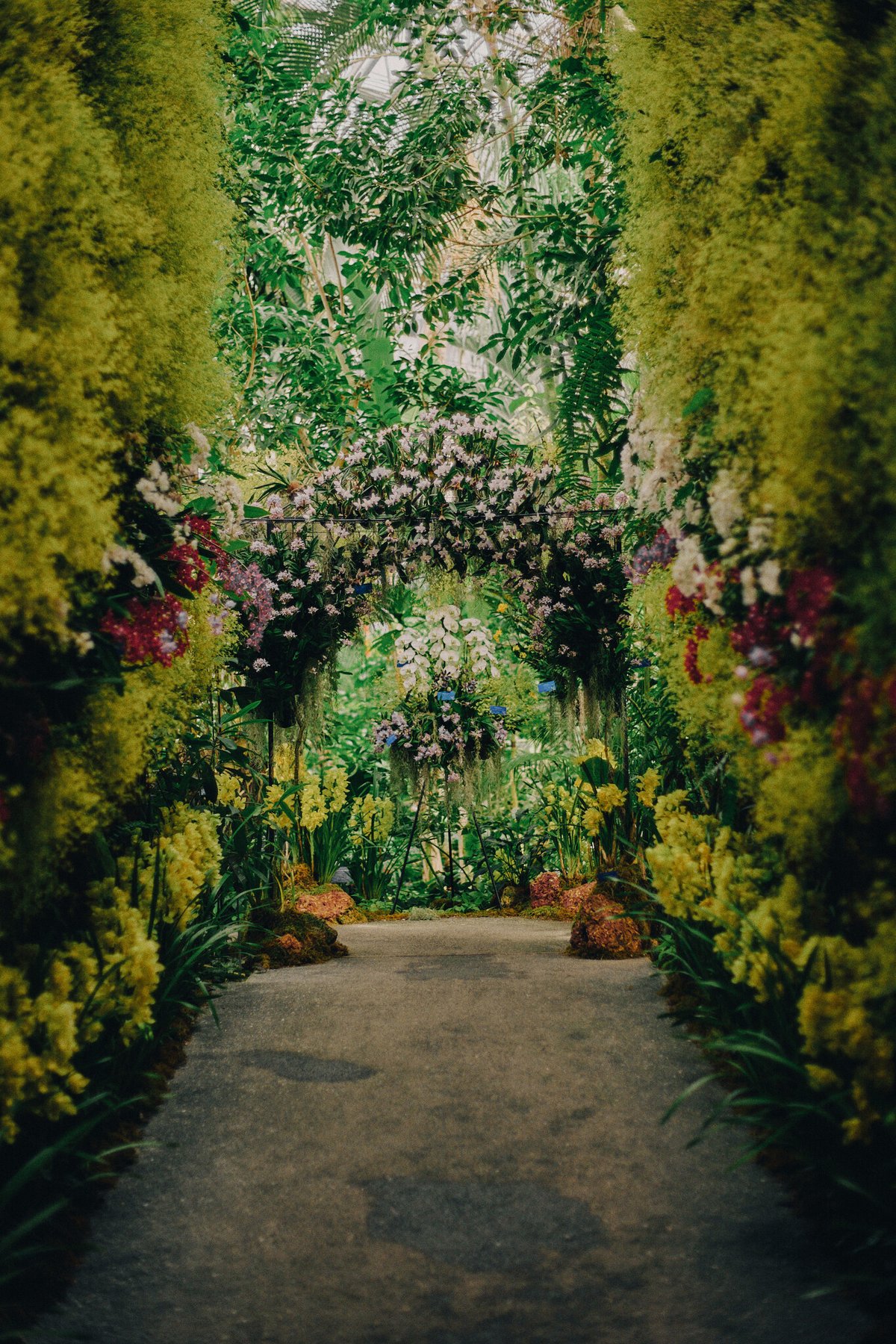 【写真編集】Capture Oneがすごい｜uhe / Yuhei Okamoto