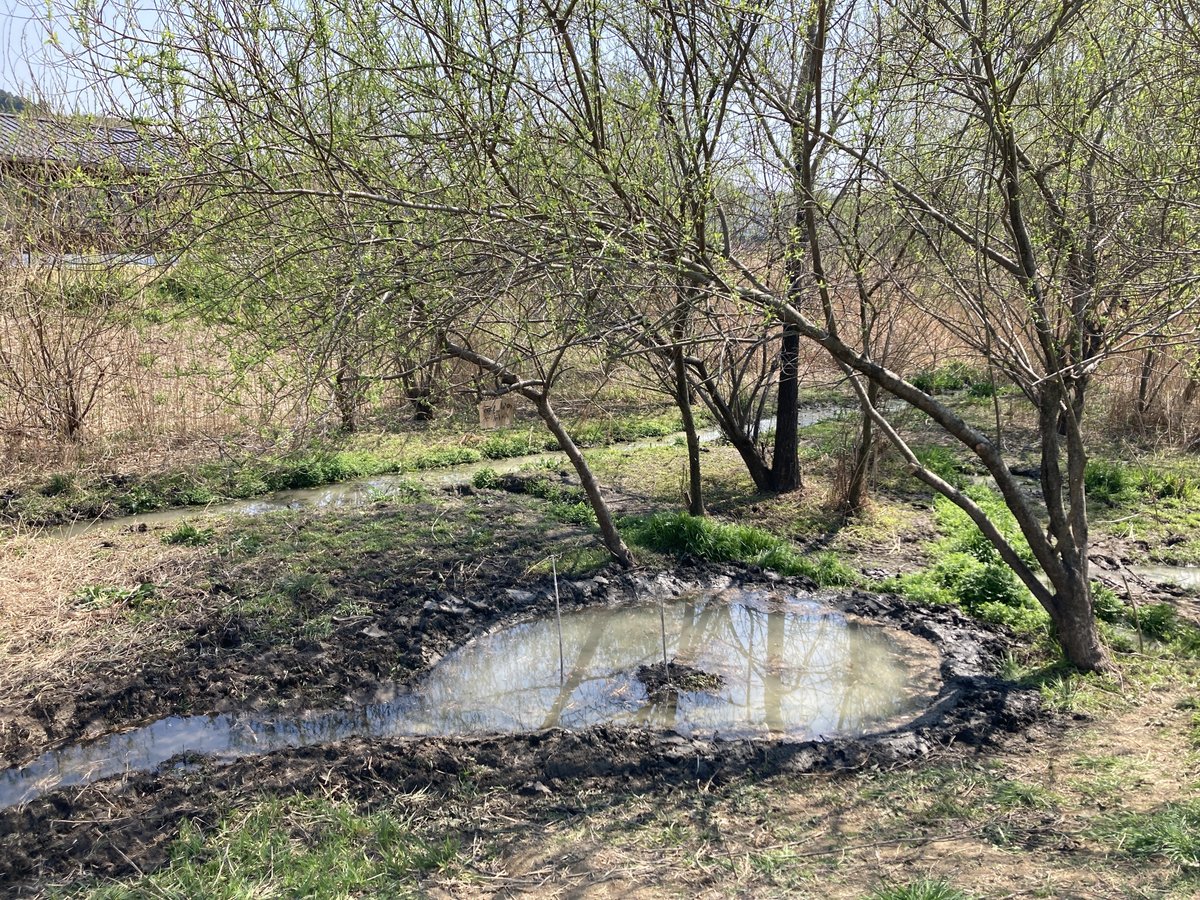 メンテナンス・ベネフィット：自然の手入れが、手入れをした人にもたらす恩恵｜Jun Nishihiro / 西廣 淳