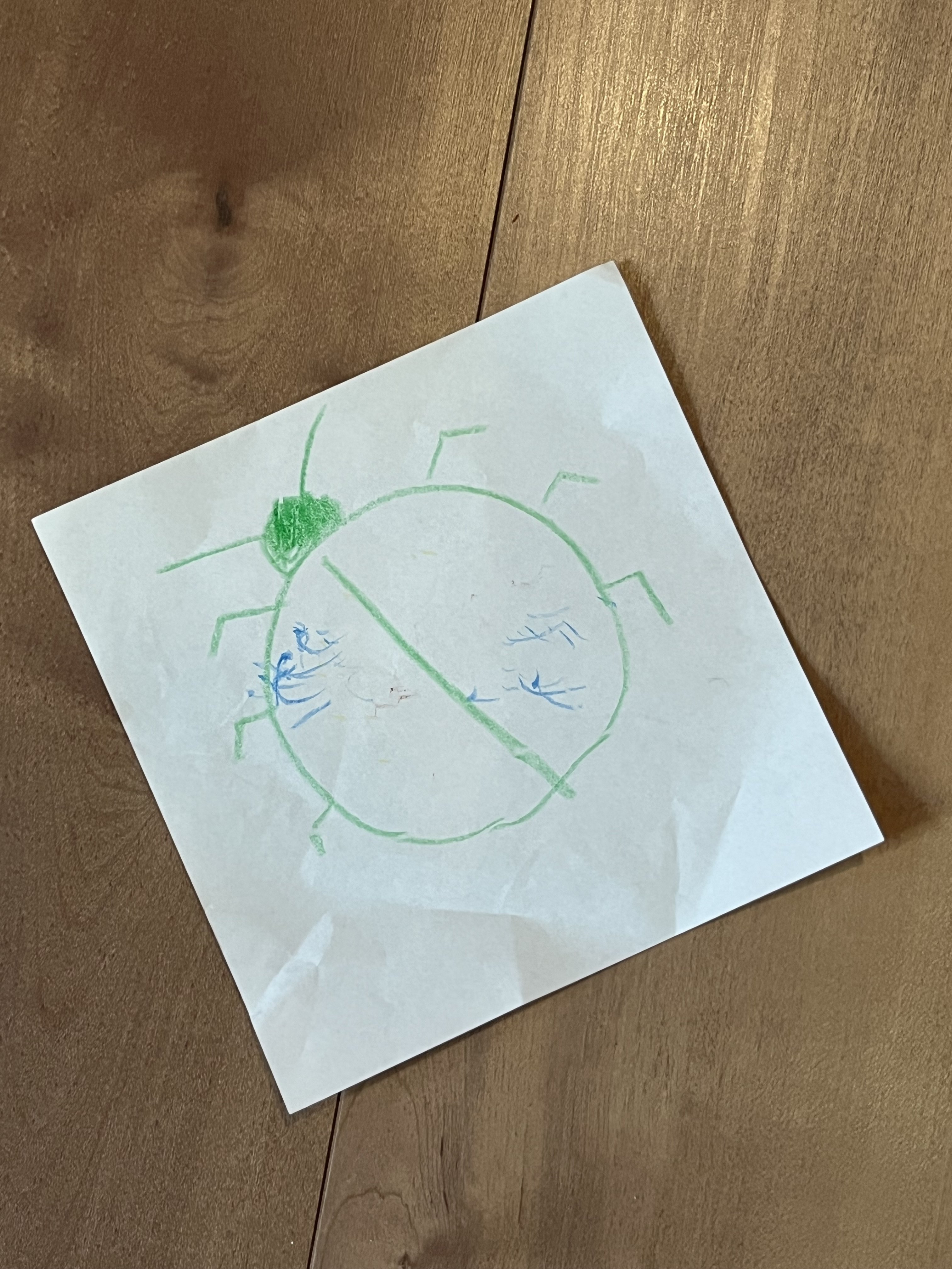 2025年3月25日｜w.watako