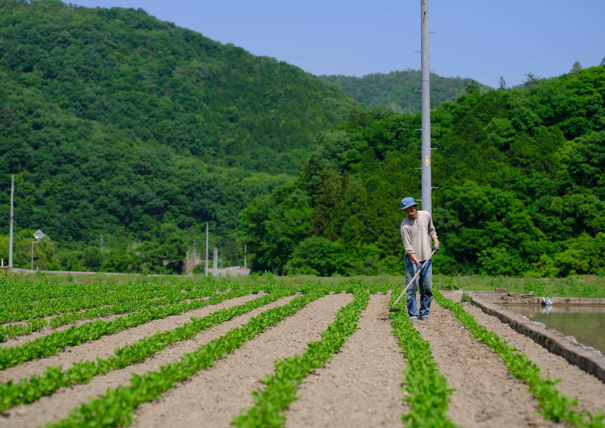 毎月限定枚数のみ予約の、藍染サウナタオルに込めた想い｜IKEUCHI ORGANIC 公式note
