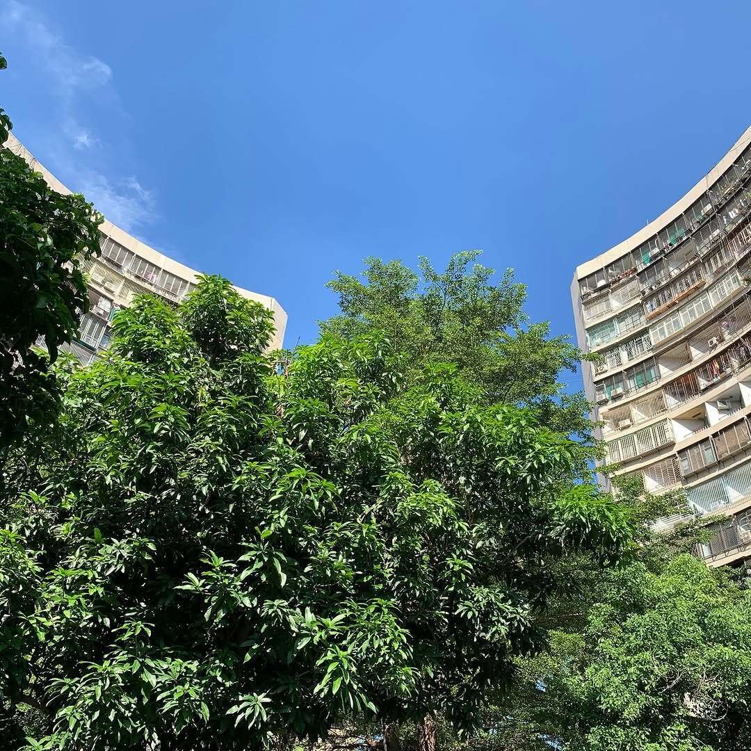 3日目。高雄・歴史を体感する団地群、果貿社區。（20回目の台湾旅2024/09）｜もーしぇんれん