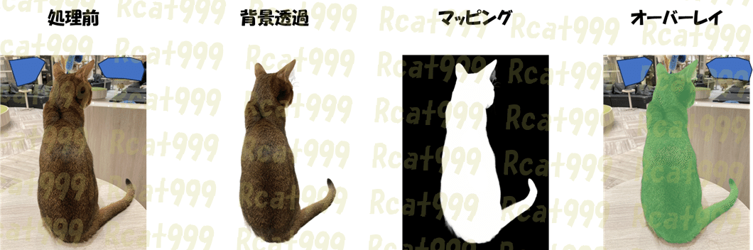 Python x AIで自動背景透過してみた ～transparent-backgroundで簡単背景透過～｜Rcat999