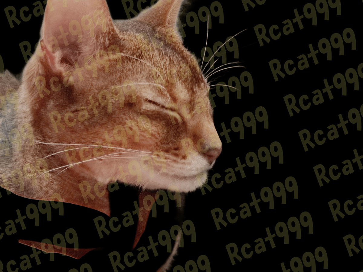 Python x AIで自動背景透過してみた ～transparent-backgroundで簡単背景透過～｜Rcat999