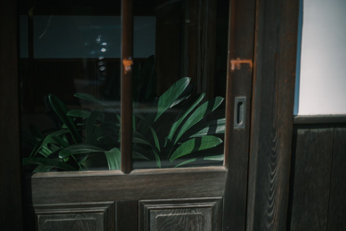 今こそZ5だ！！！｜杢璃/Mokuli