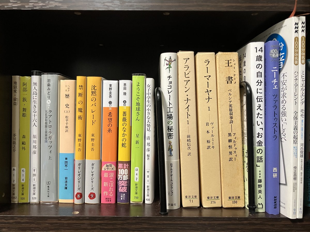 私の積読公開｜hanaco_nagai