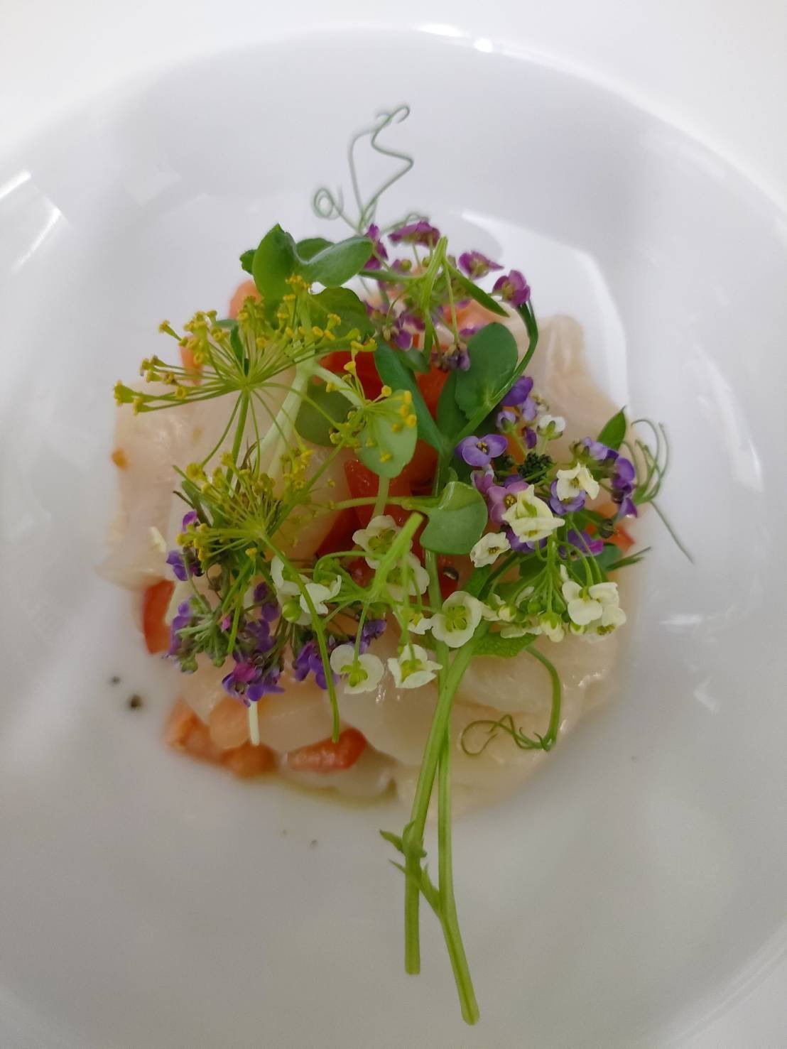 アペリティフとシャンパンについて｜champagne.kohaku