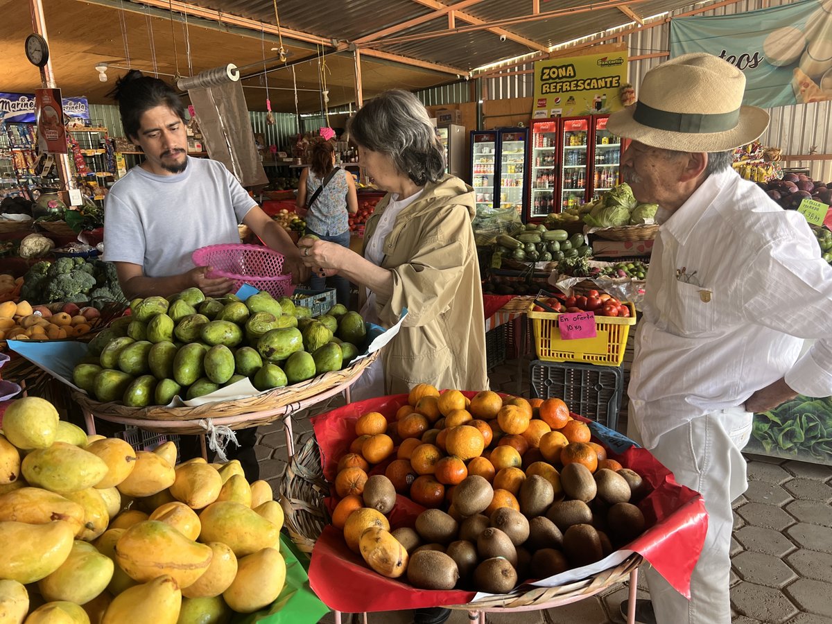 メキシコへ民芸品の旅へ #1：出発〜オアハカ到着編｜和田 萌 / MOE WADA