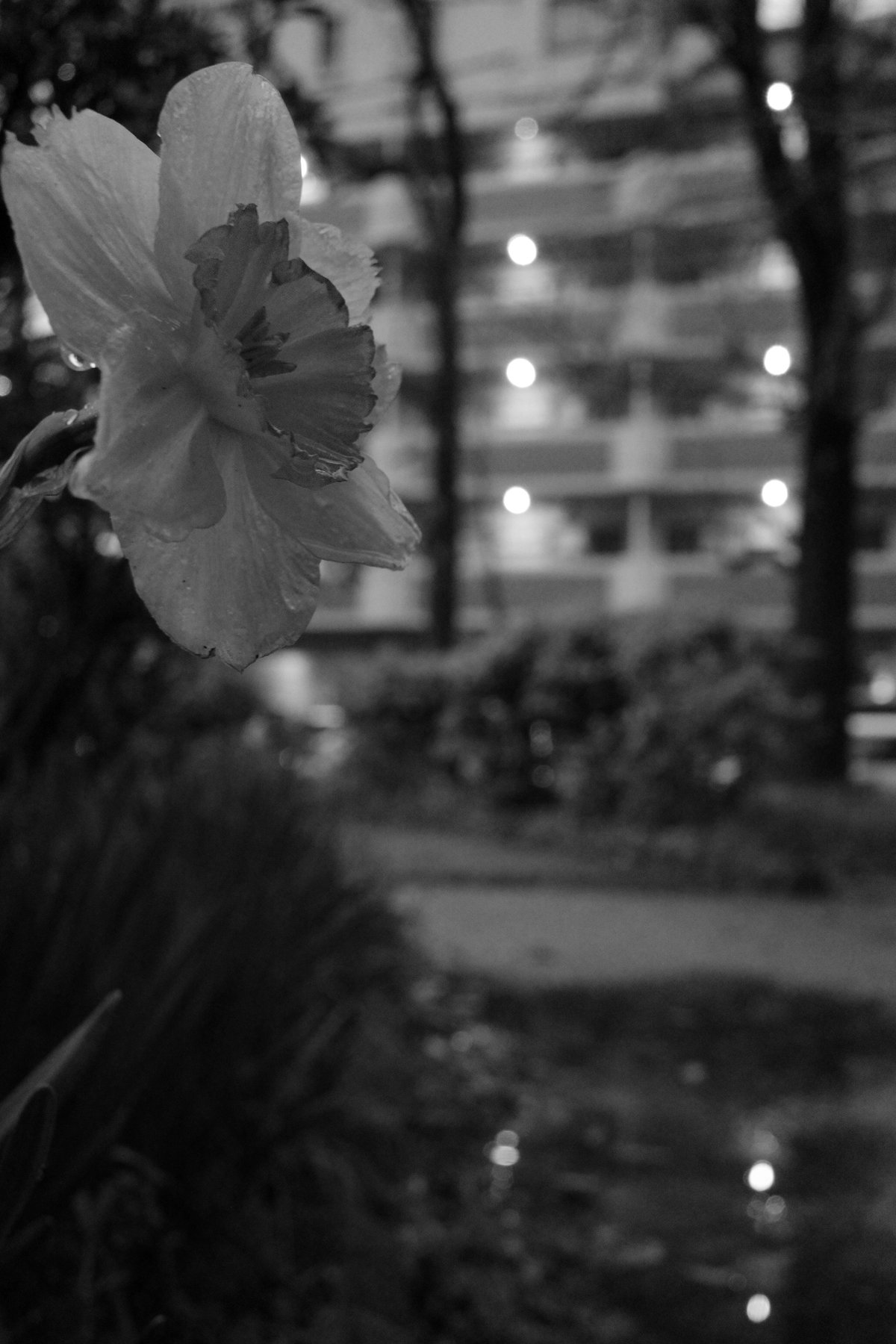 Sc.0107/光と影の長崎 2025.03.27「雨のあとには言葉が残る」｜けんじろう