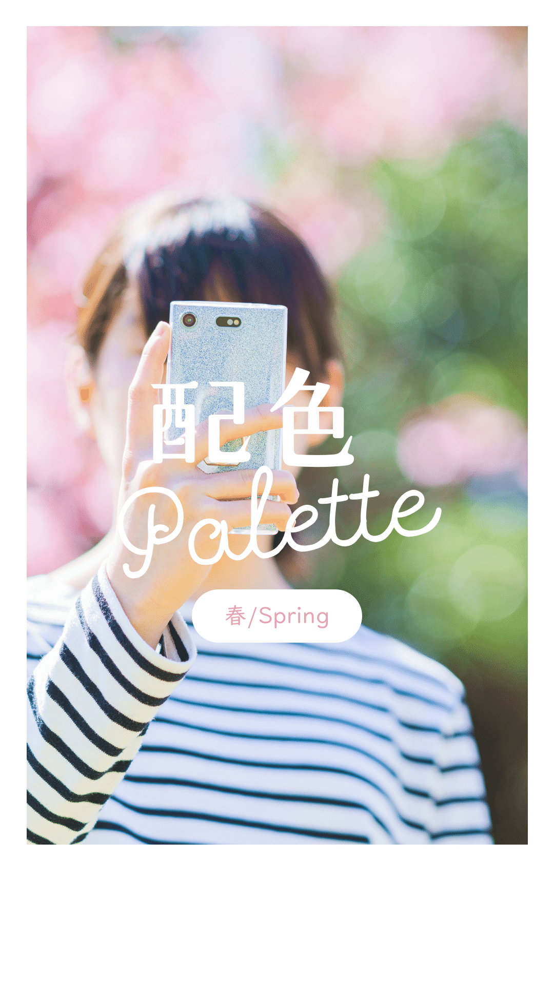 春らしい配色_5選｜Taniweb制作