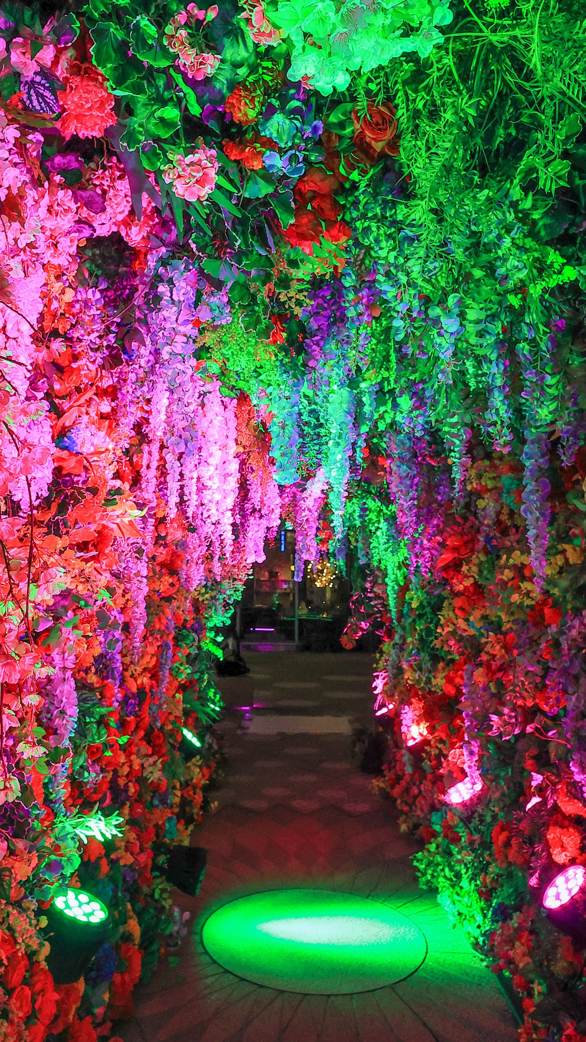 花巡り〜東京から紀尾井町〜｜Toru Shiratori