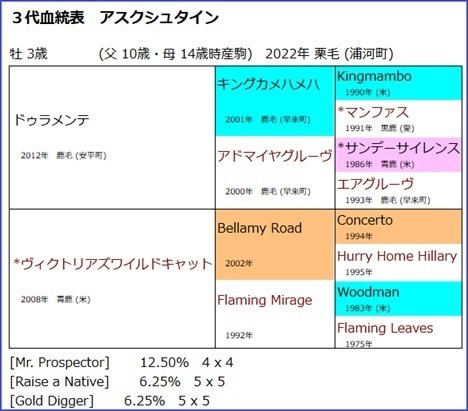 【2025 毎日杯（G3）】～予想篇｜Haya