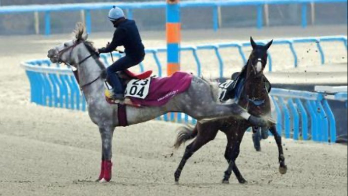 3／29・JRAむそうの競馬情報｜むそうの競馬情報