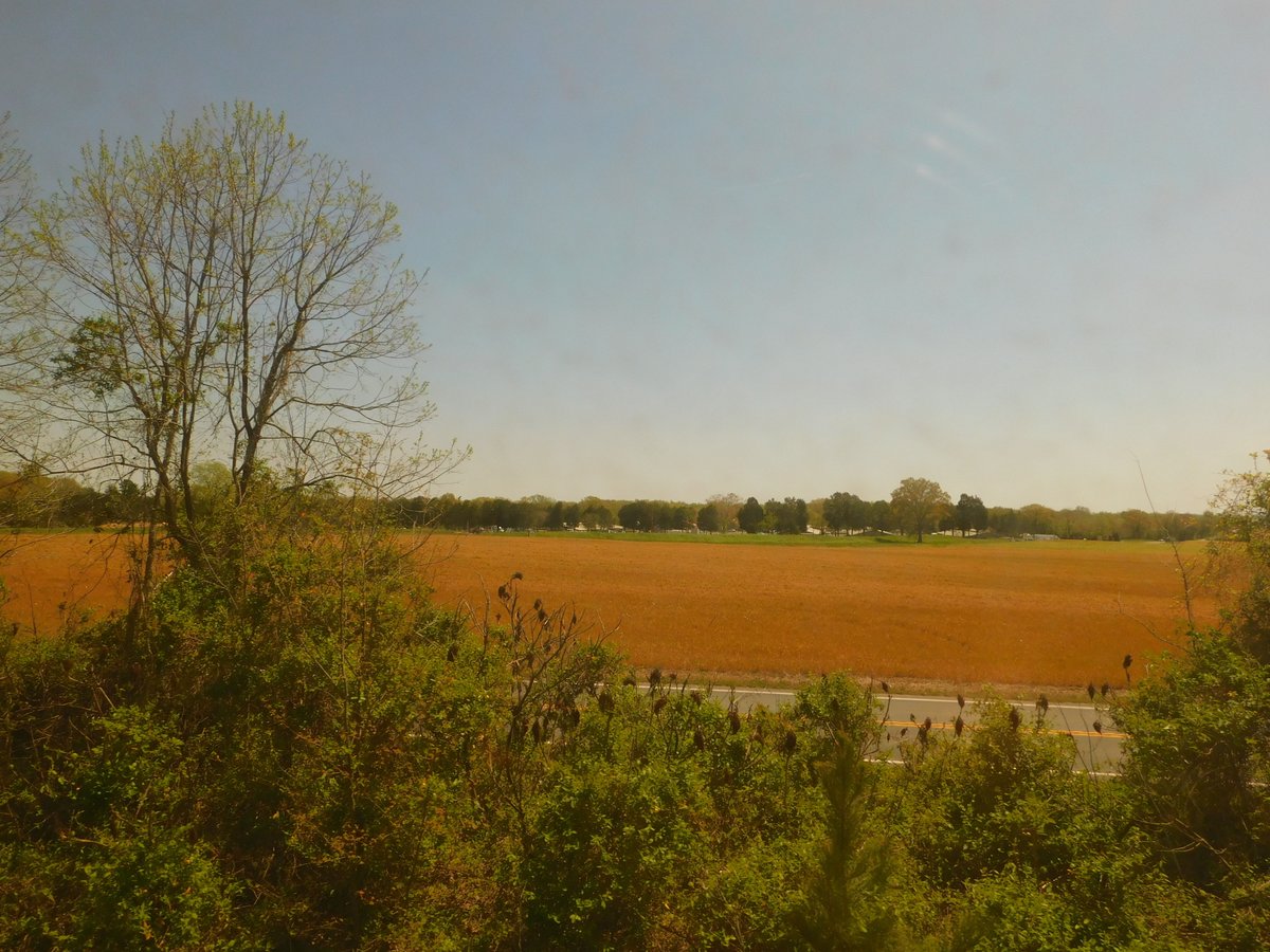 【アメリカ留学】大陸横断鉄道アムトラック〜ニューオリンズからボストンまで〜40時間の旅｜Yujiro Maeda（前田 悠士朗）