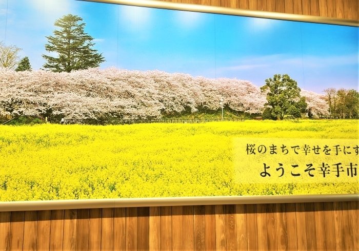 WAKU WAKU｜伊藤隆佑／TBSアナウンサー