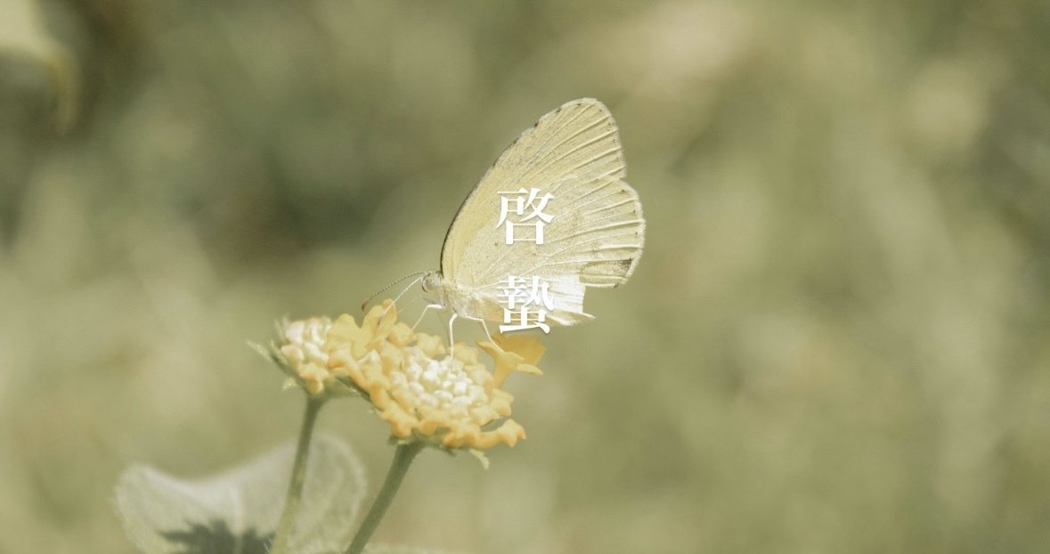 '25 二十四候: 啓蟄（3月前半）あなたの月経周期をふりかえるためのnote｜ayaka 心とカラダの美しさを引きだす術