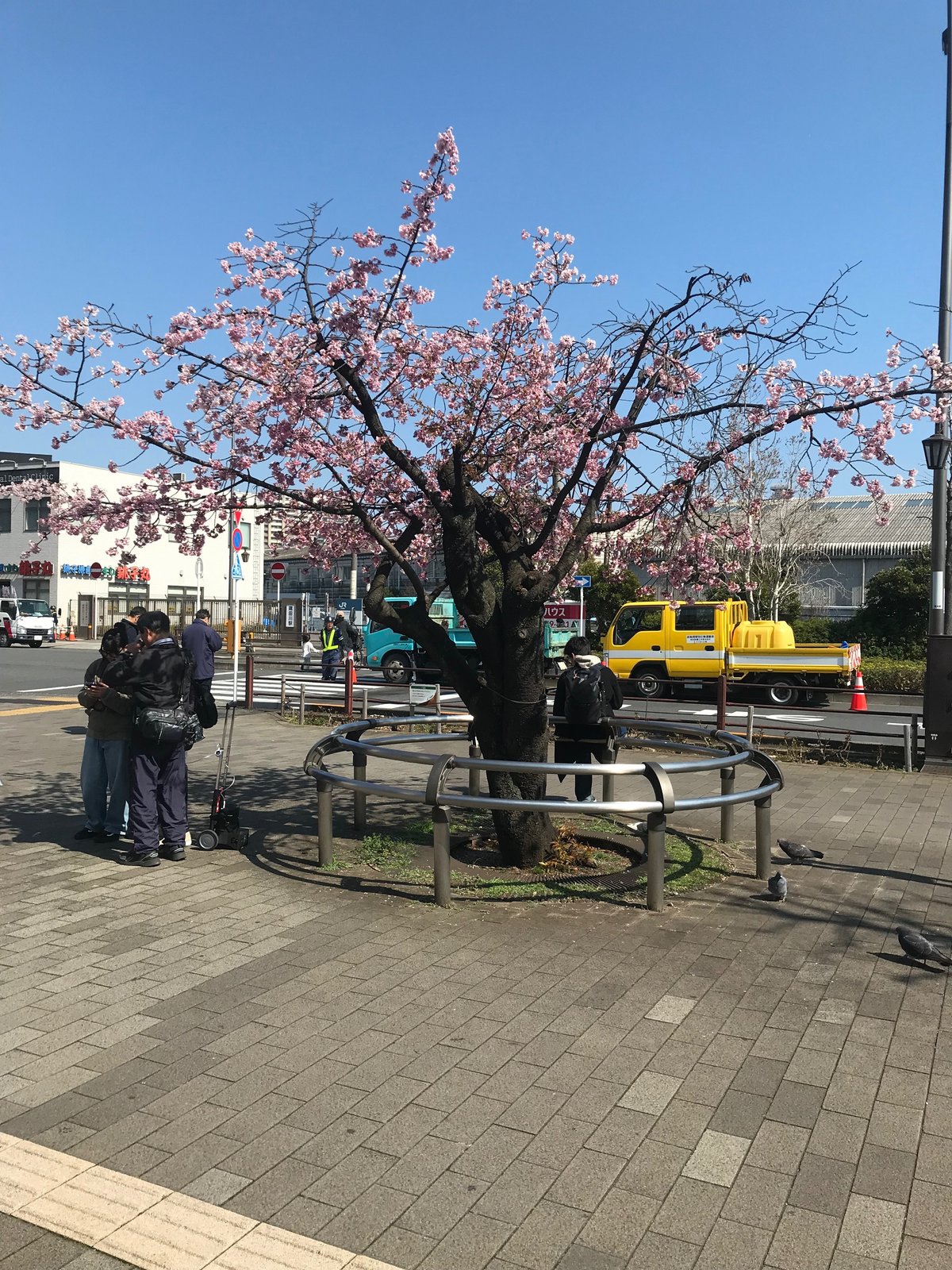 ♪パンパカパーン♪現・無職noterがnoteをはじめて11ヶ月経ちました♪｜村瀬テロスタン@物書き見習い〜元路上生活者の無職noter〜