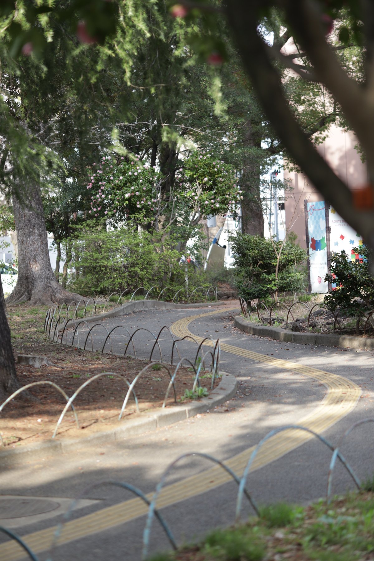 [EOS M200]消えゆくEF-Mマウント、Sigma 56mm f/1.4は最高すぎる｜in the beatsome (t.s.p.)