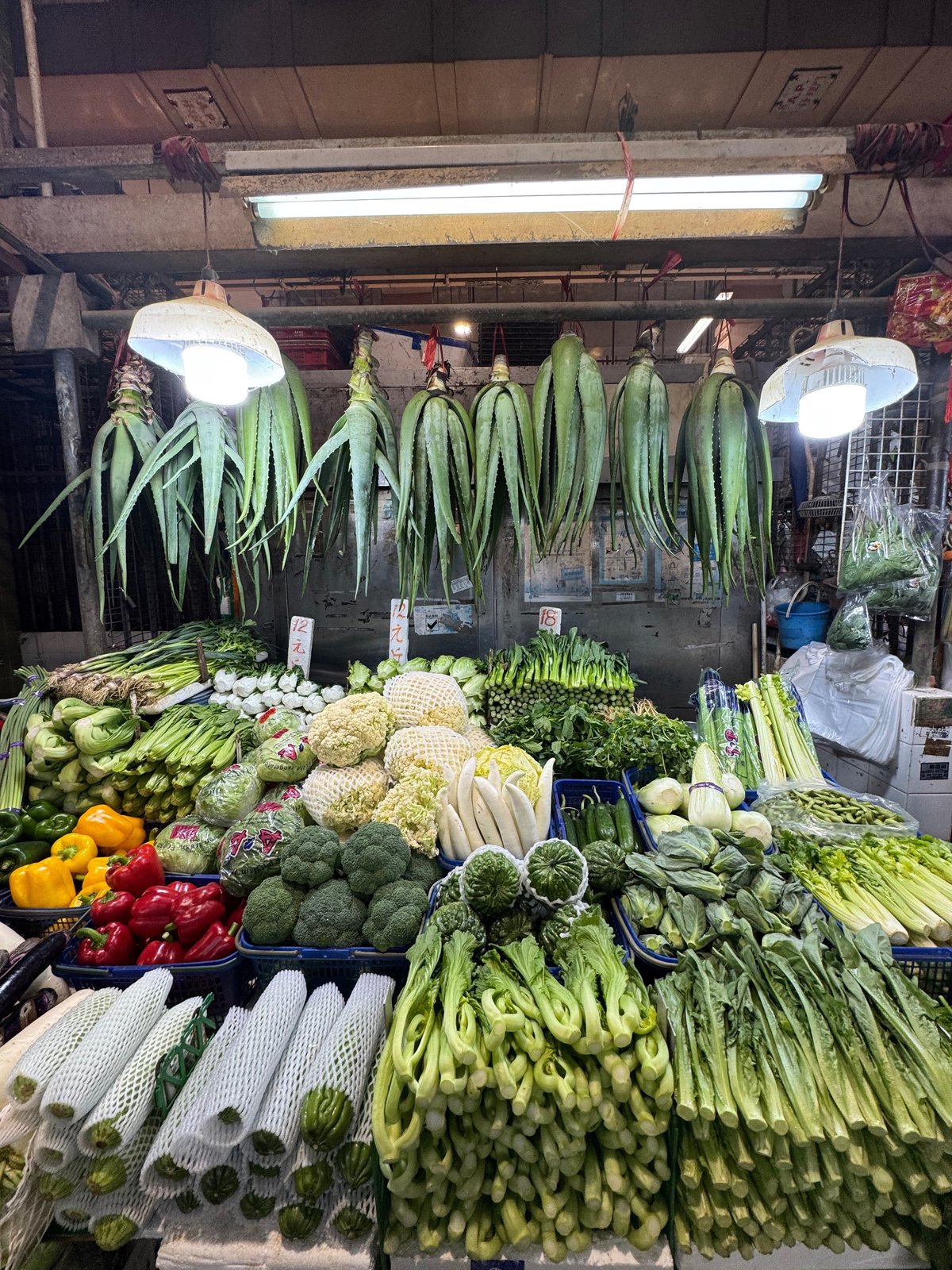 旅は道草が楽しい④｜Yosuke Matsubara