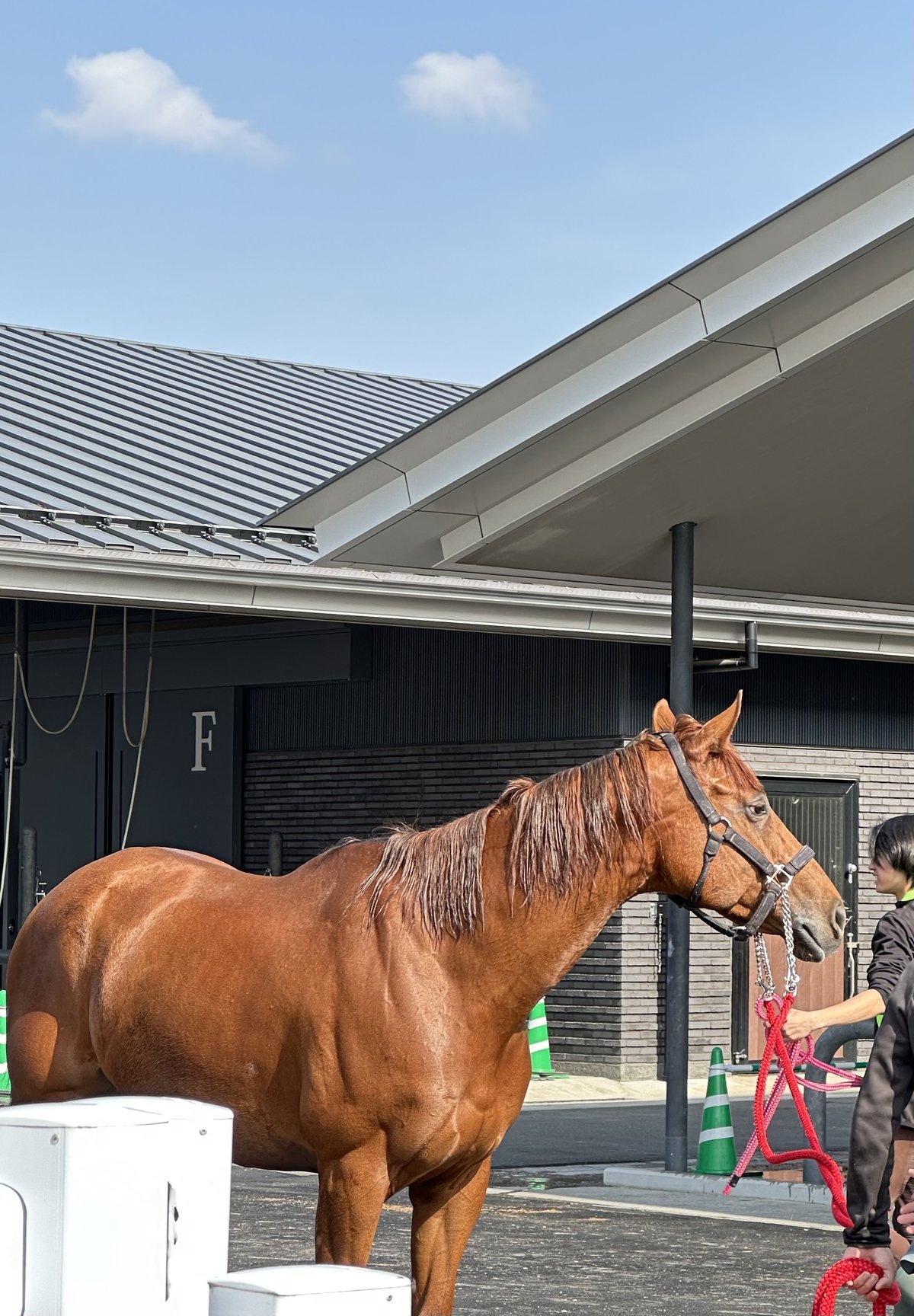 東京散歩 馬事公苑｜tsukiko