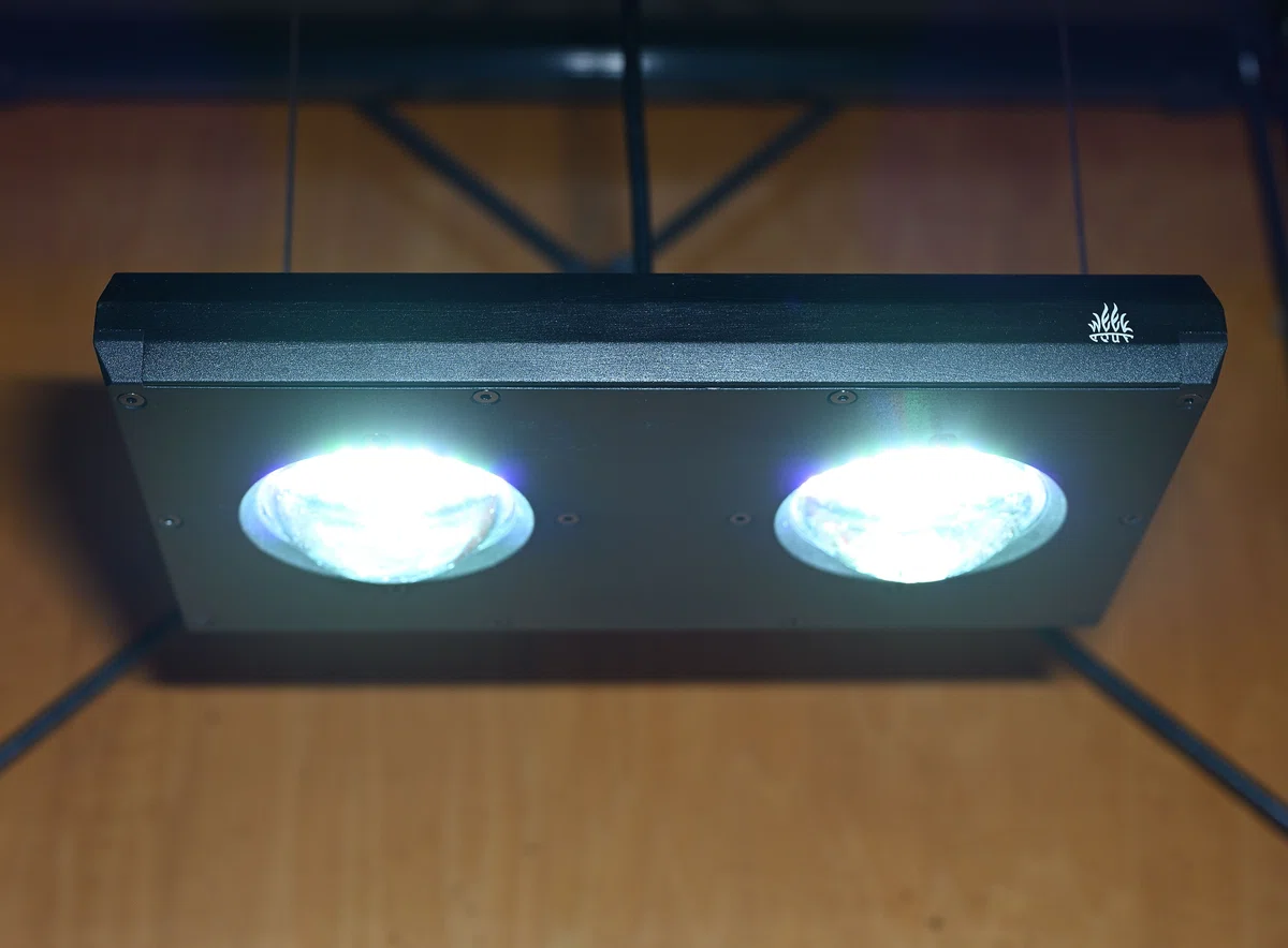 WEEKAQUA Z250の使用レビュー｜WEEK END AQUA