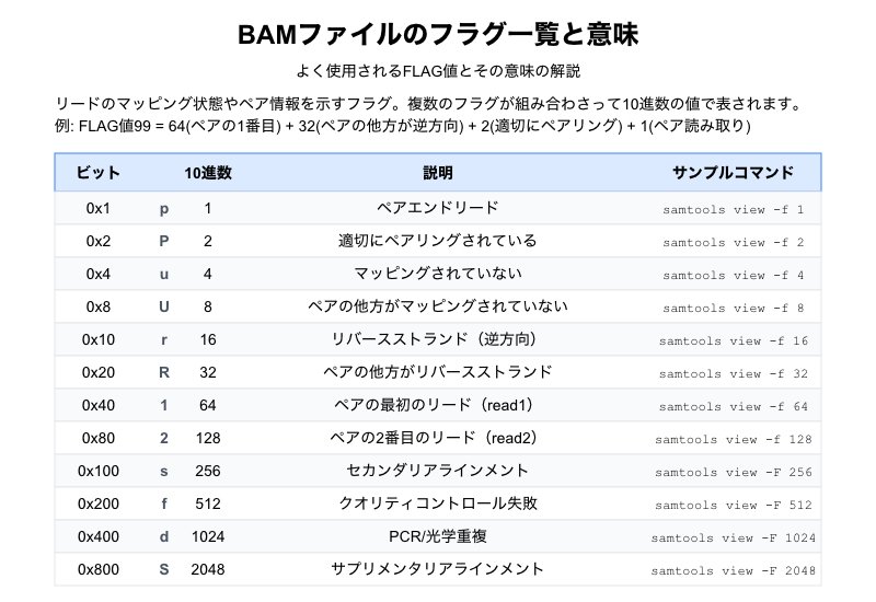 実験系研究者のためのSamtools入門 〜NGSデータを自在に操る第一歩〜｜Ozk