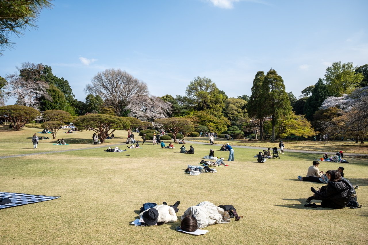 NIKON Z50IIとLUMIX G9IIで行く「新宿御苑の桜」|Photographer NIKON Z50IIとLUMIX G9IIで行く「新宿御苑の桜」|Photographer