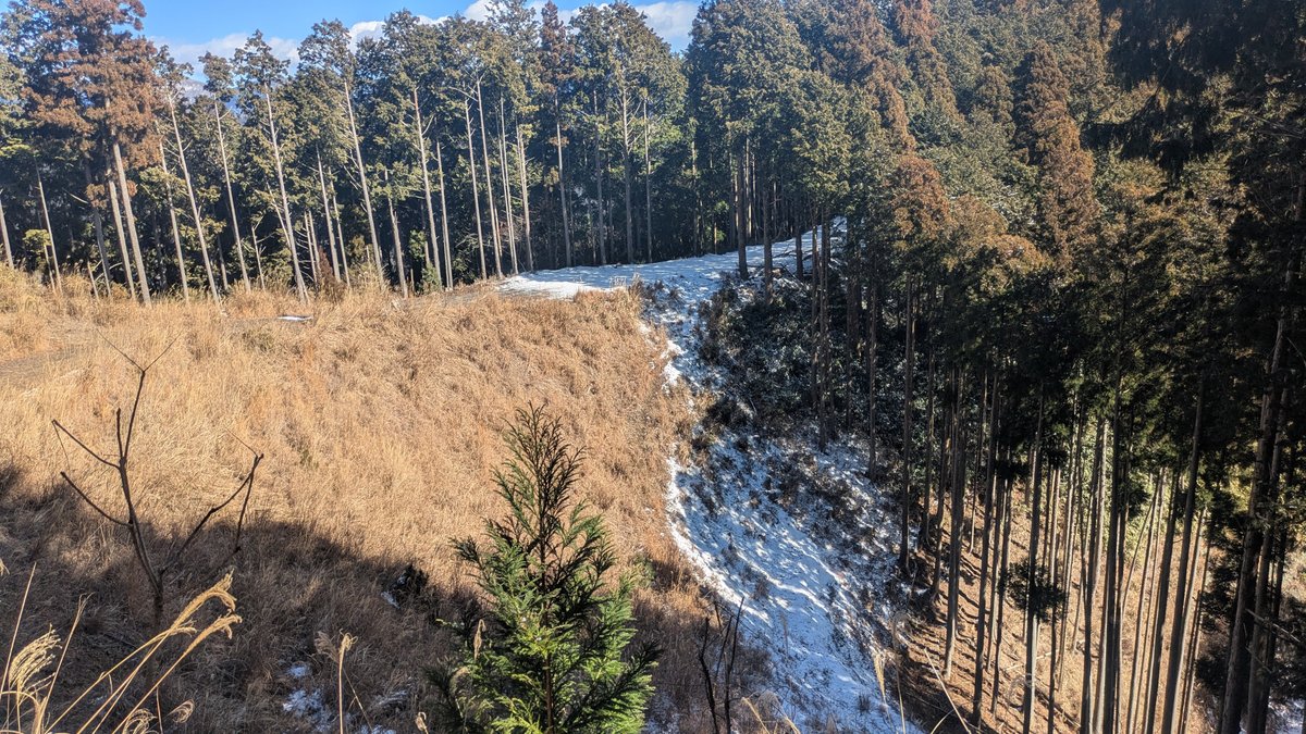 梅の植樹｜h.shiba